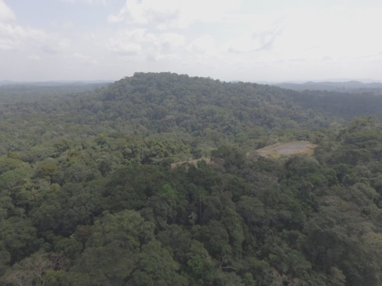 Sierra Leone signs MoU with Liberia for joint management of Gola Rain ...