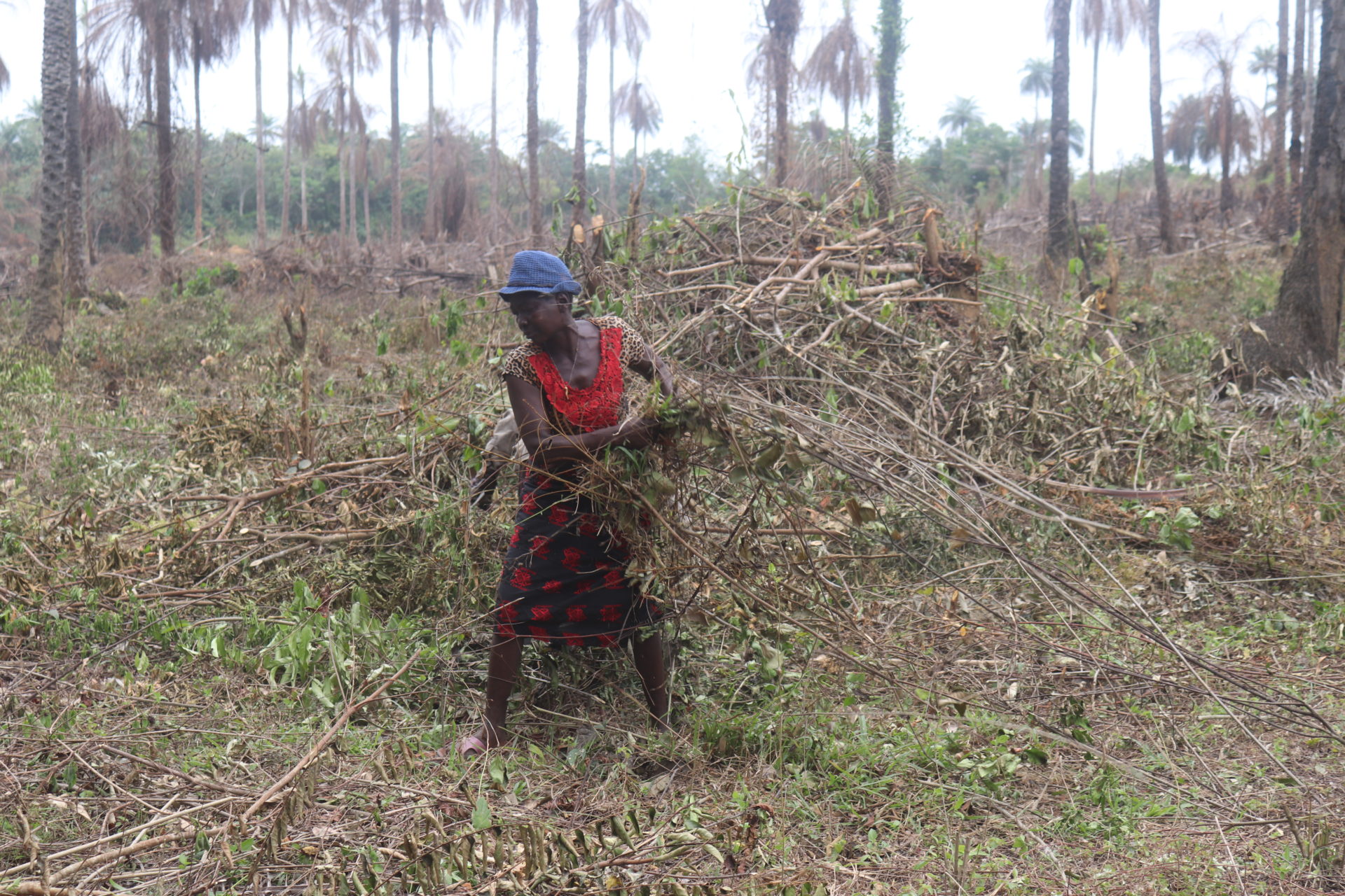 GEF Small Grants Stories: New skills to scale up sustainable ...