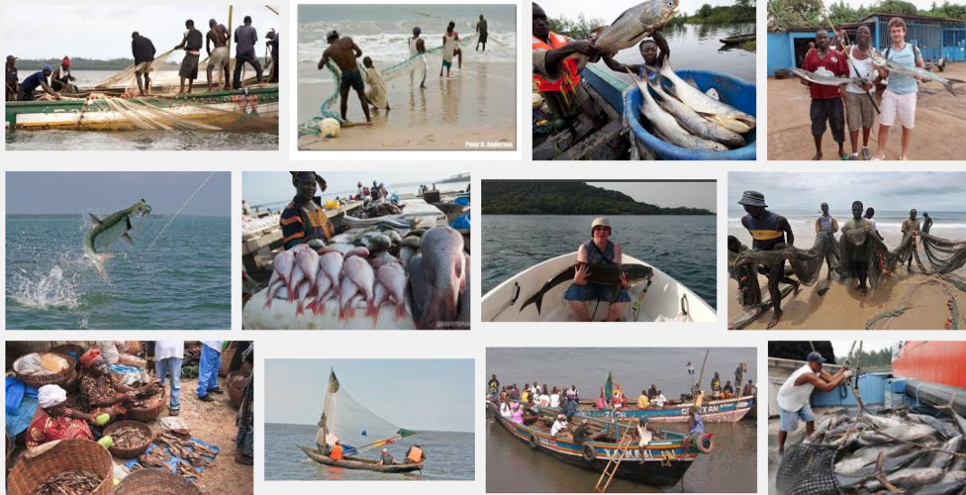 Sierra Leone: Freetown Kroo Bay slum floods for third year in a row ...