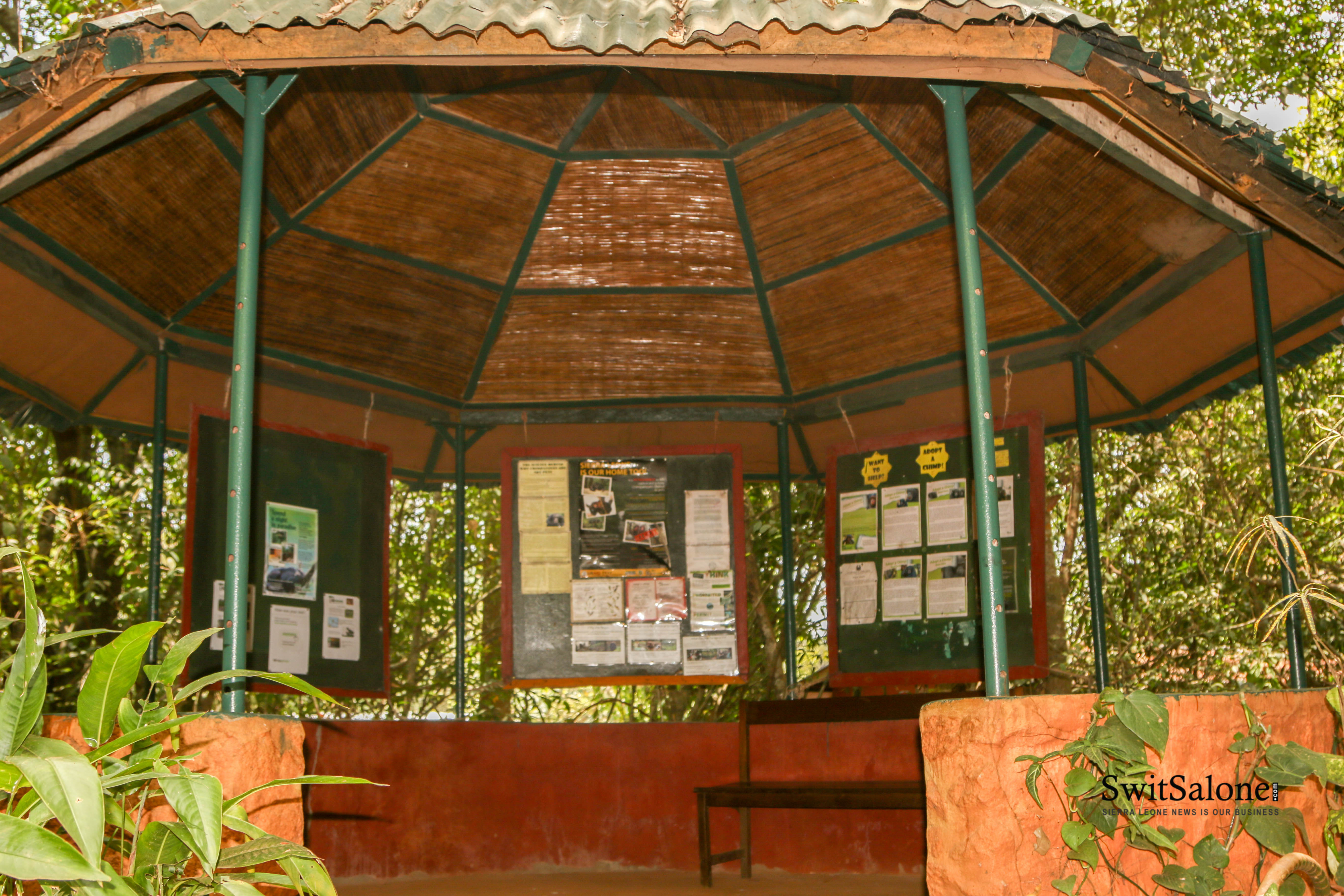 Destination Sierra Leone: The Hidden Wildlife Gem - Tacugama Chimpanzee ...