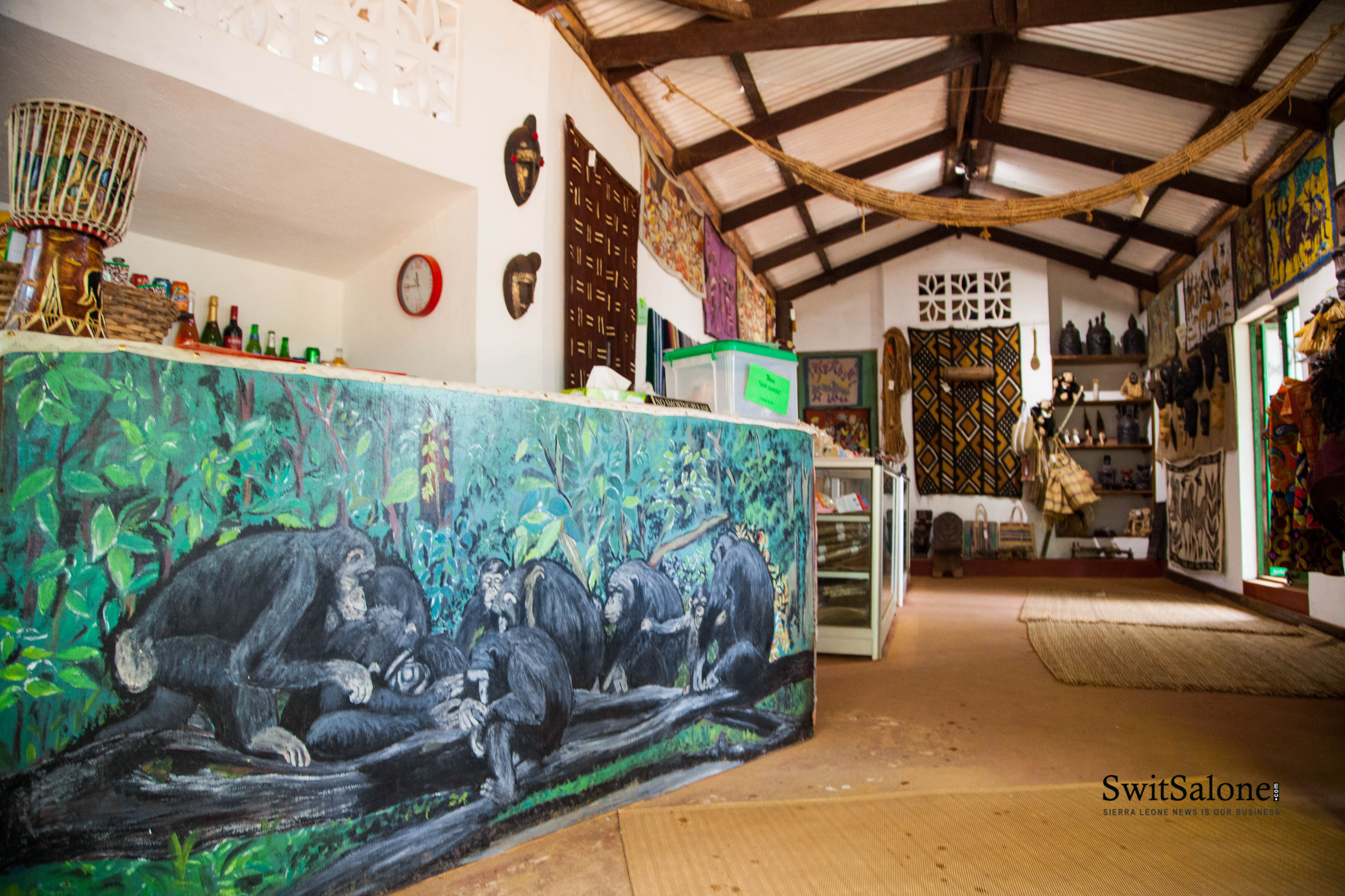 Destination Sierra Leone: The Hidden Wildlife Gem - Tacugama Chimpanzee ...