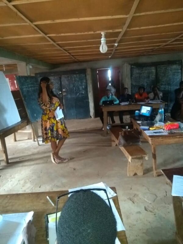 Sierra Leone Diaspora Stories: Willorna Brock on volunteering back at ...